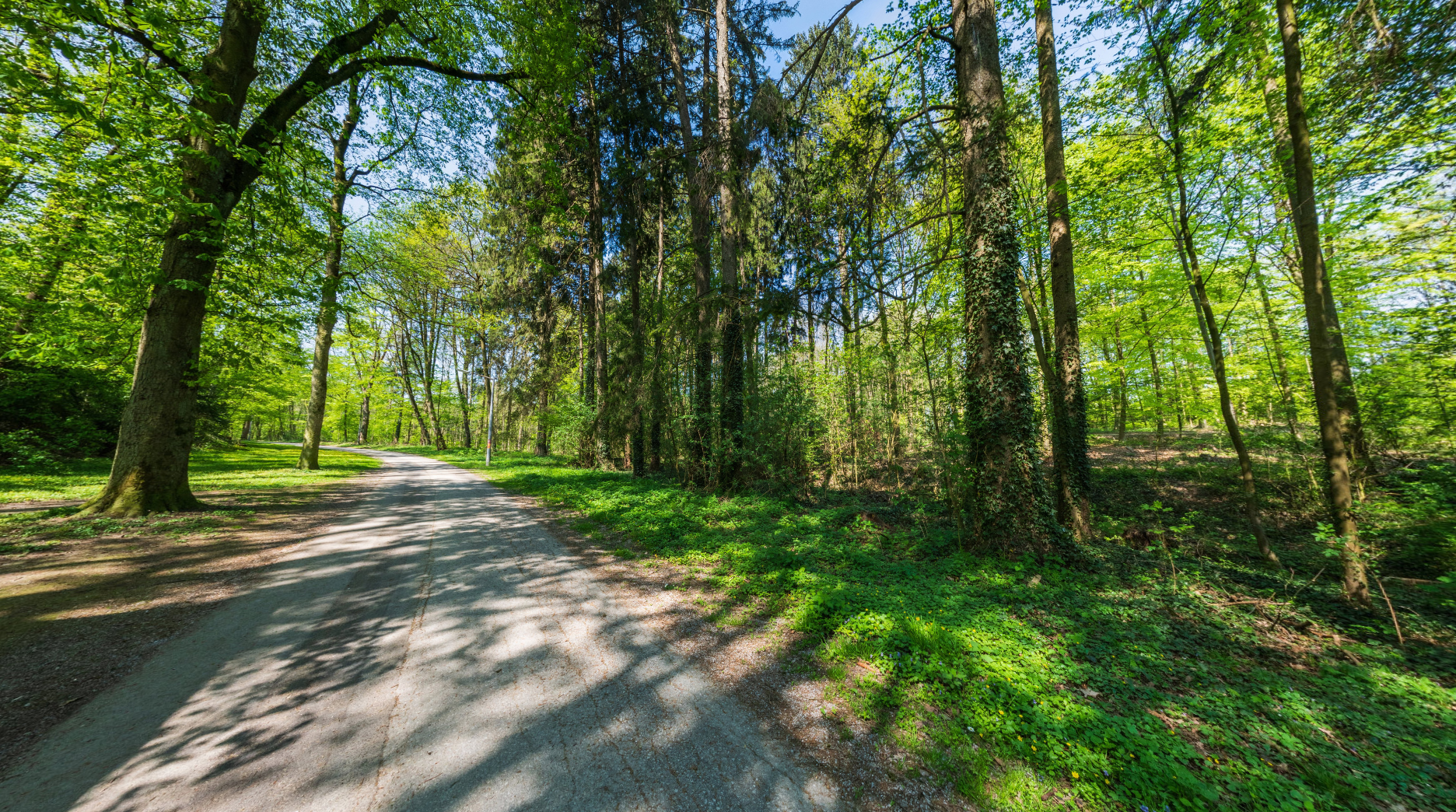 City Forest - Parks